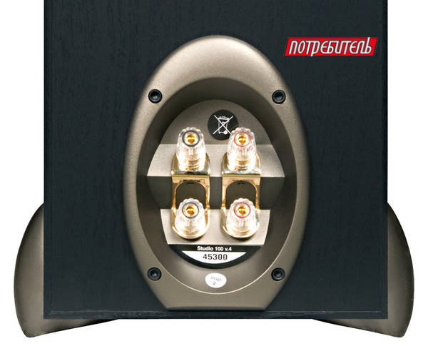 PARADIGM Reference Studio 100 v4